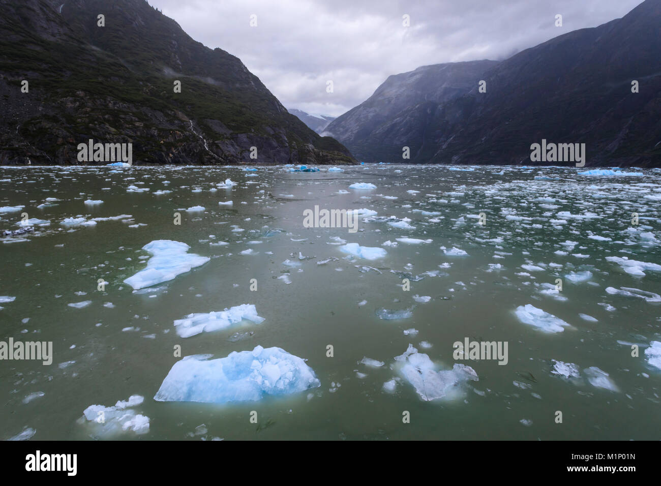 Heavy ice near face of South Sawyer Glacier, misty conditions, mountain ...