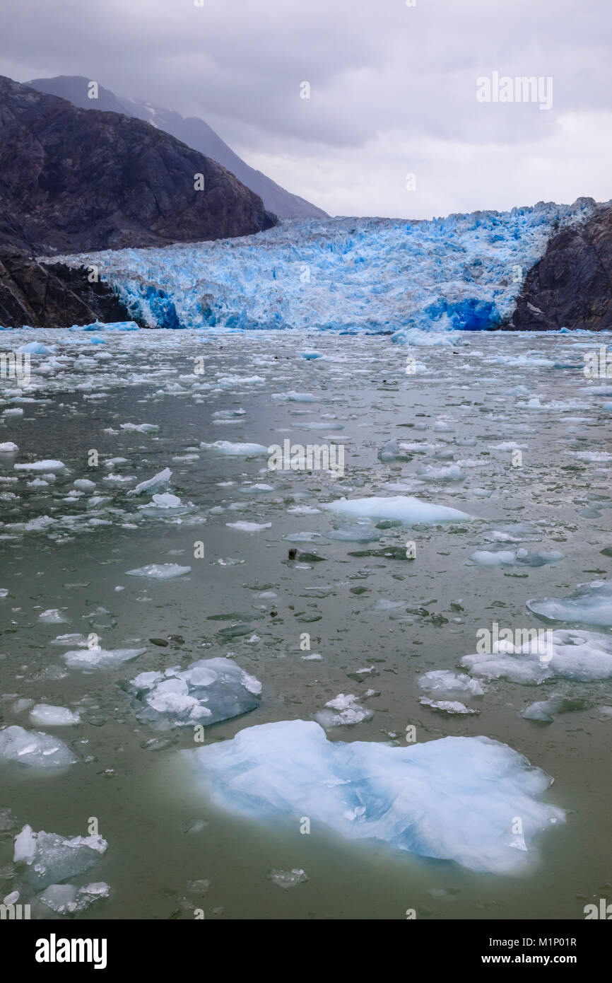 Ice pack and blue ice face of South Sawyer Glacier, mountain backdrop ...