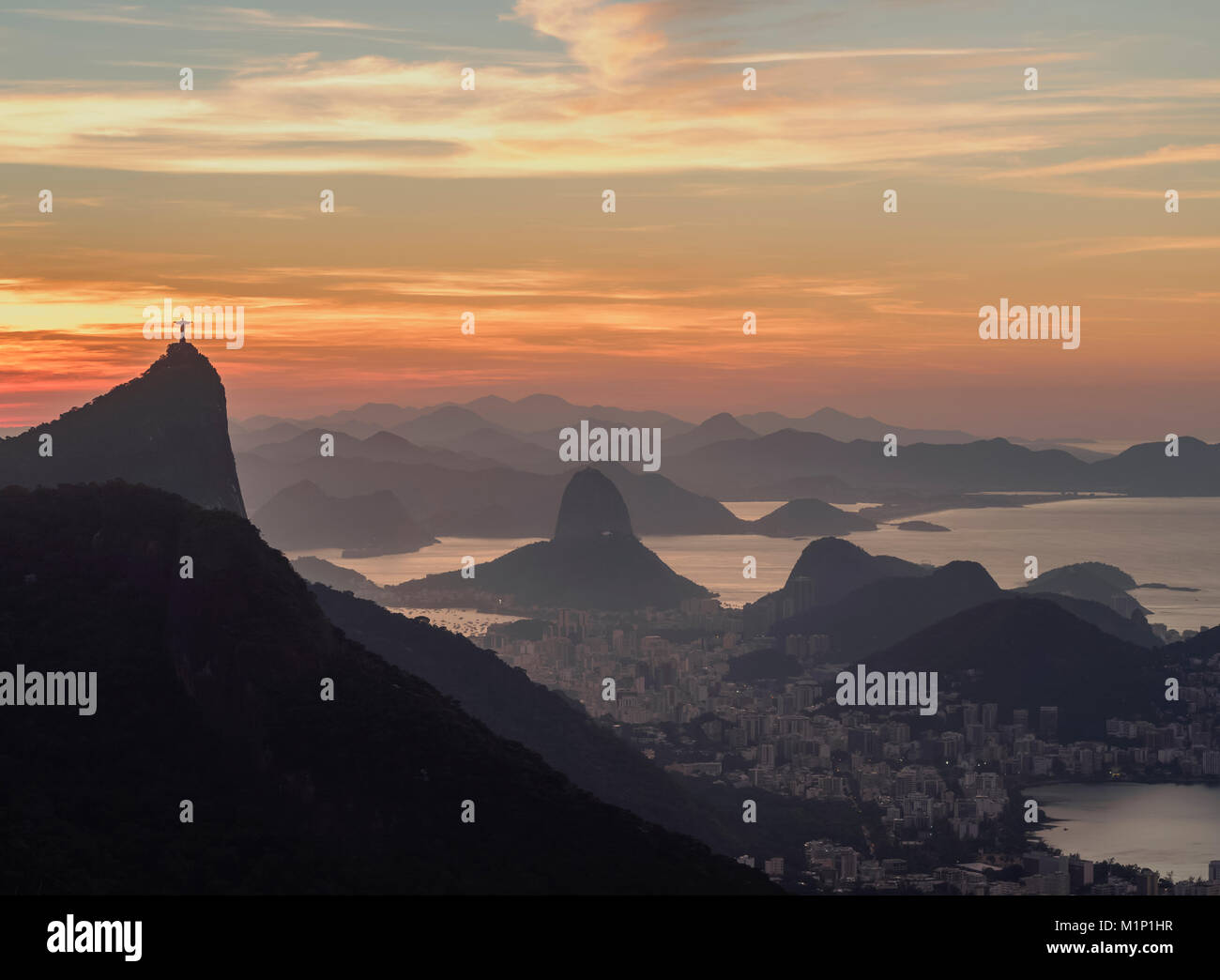 Tijuca forest national park hi-res stock photography and images - Alamy