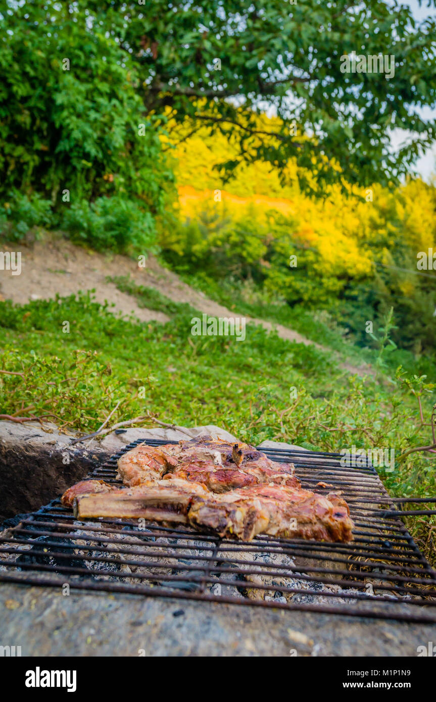 BBQ in the forest at sunset with pork ribs Stock Photo - Alamy