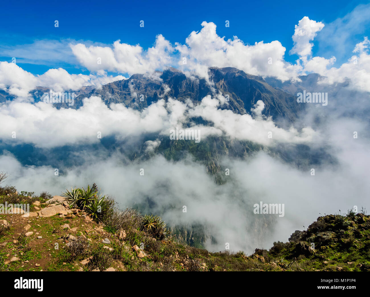 Colca Canyon, Cruz del Condor, Arequipa Region, Peru, South America ...