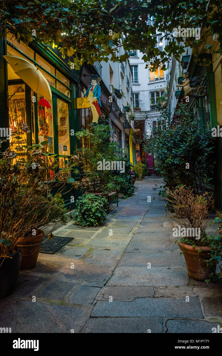 Secret street in Paris at night with plants everywhere Stock Photo - Alamy