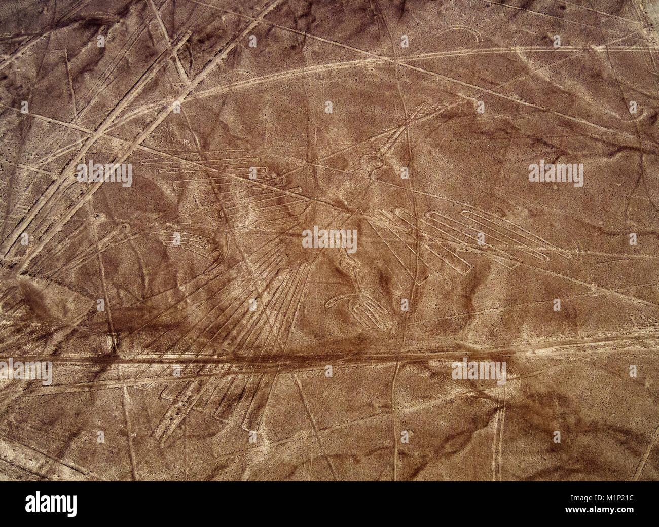 The Condor Geoglyph, aerial view, Nazca, UNESCO World Heritage Site ...