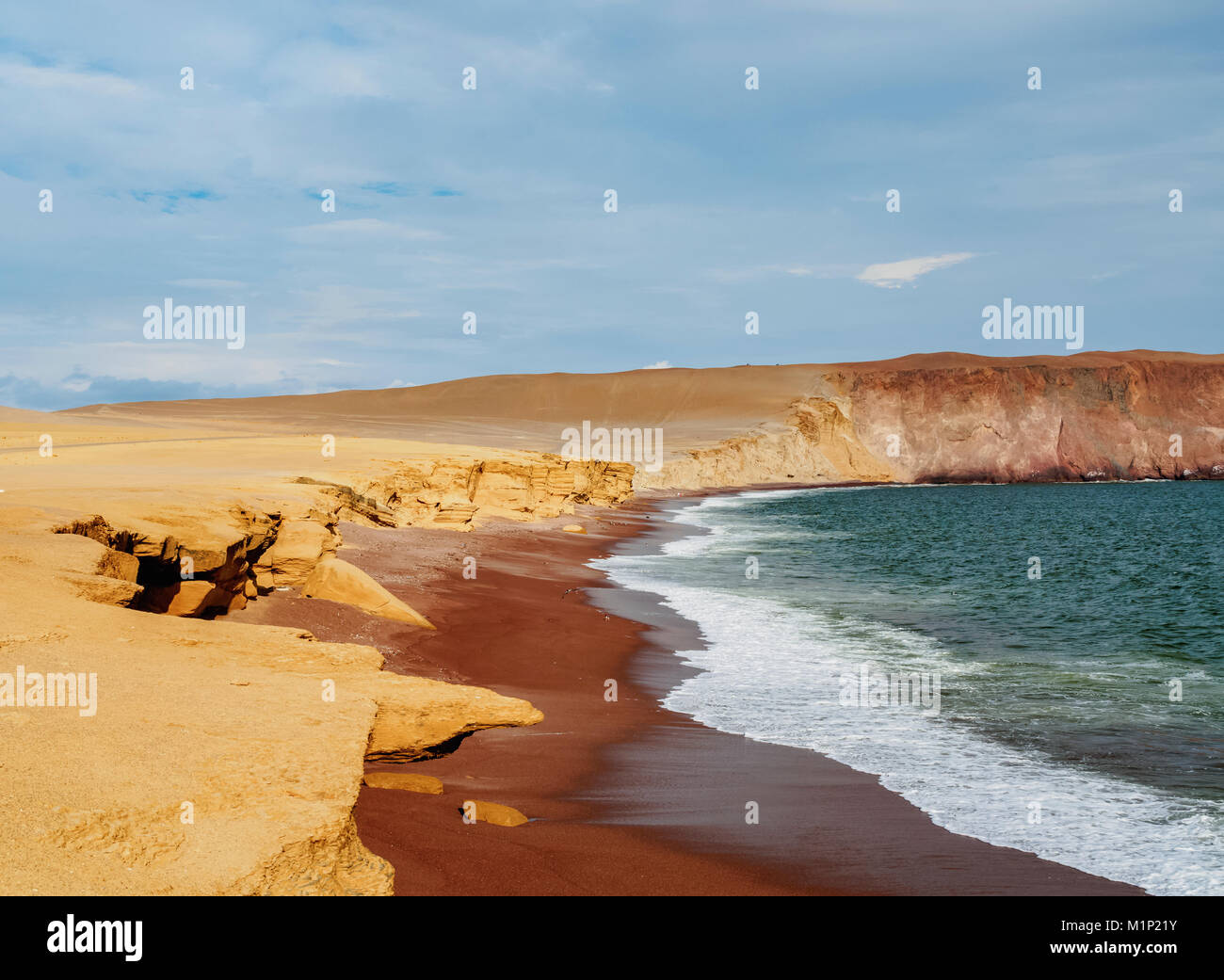 Paracas national reserve hi-res stock photography and images - Alamy