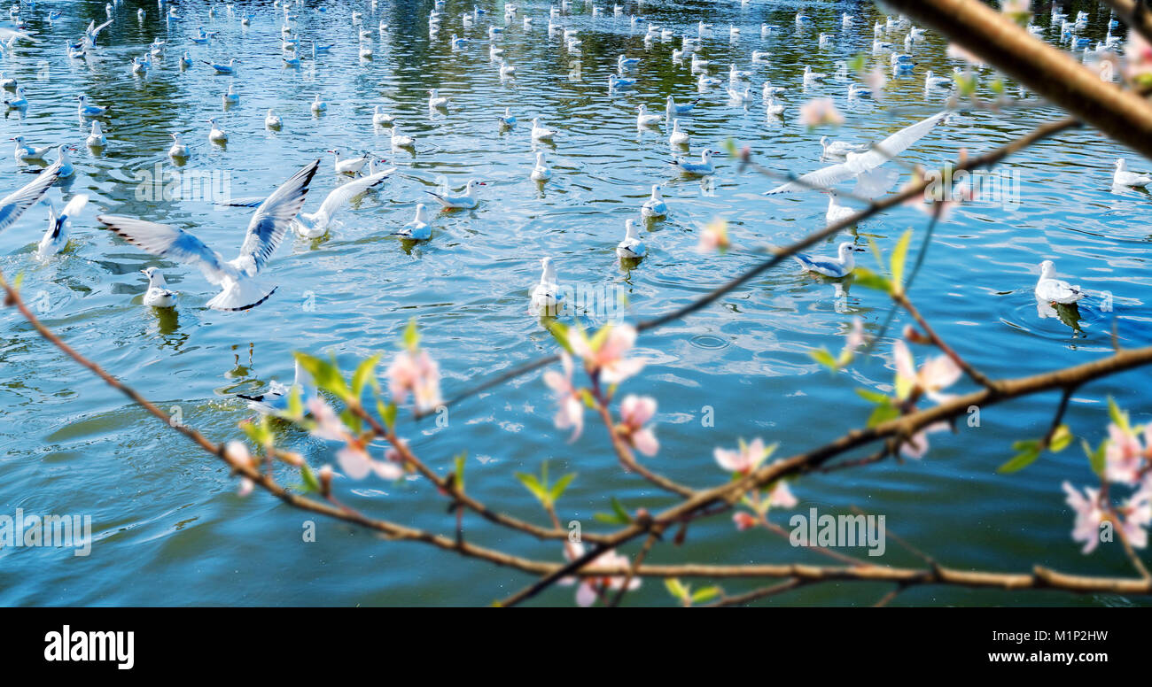 Subtropical winter hi-res stock photography and images - Alamy