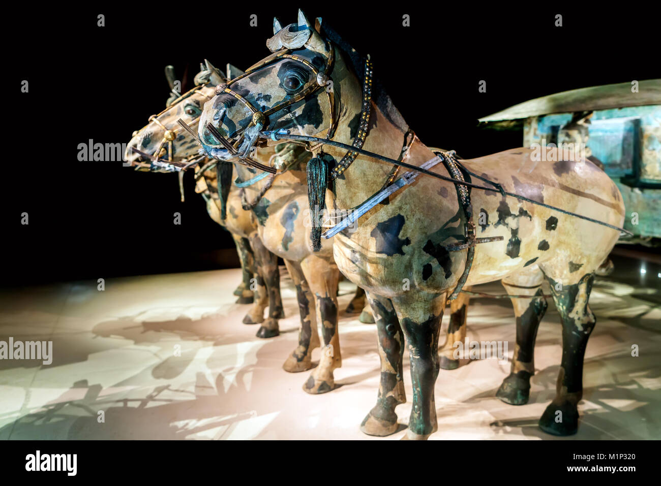 Shang Dynasty Chariots