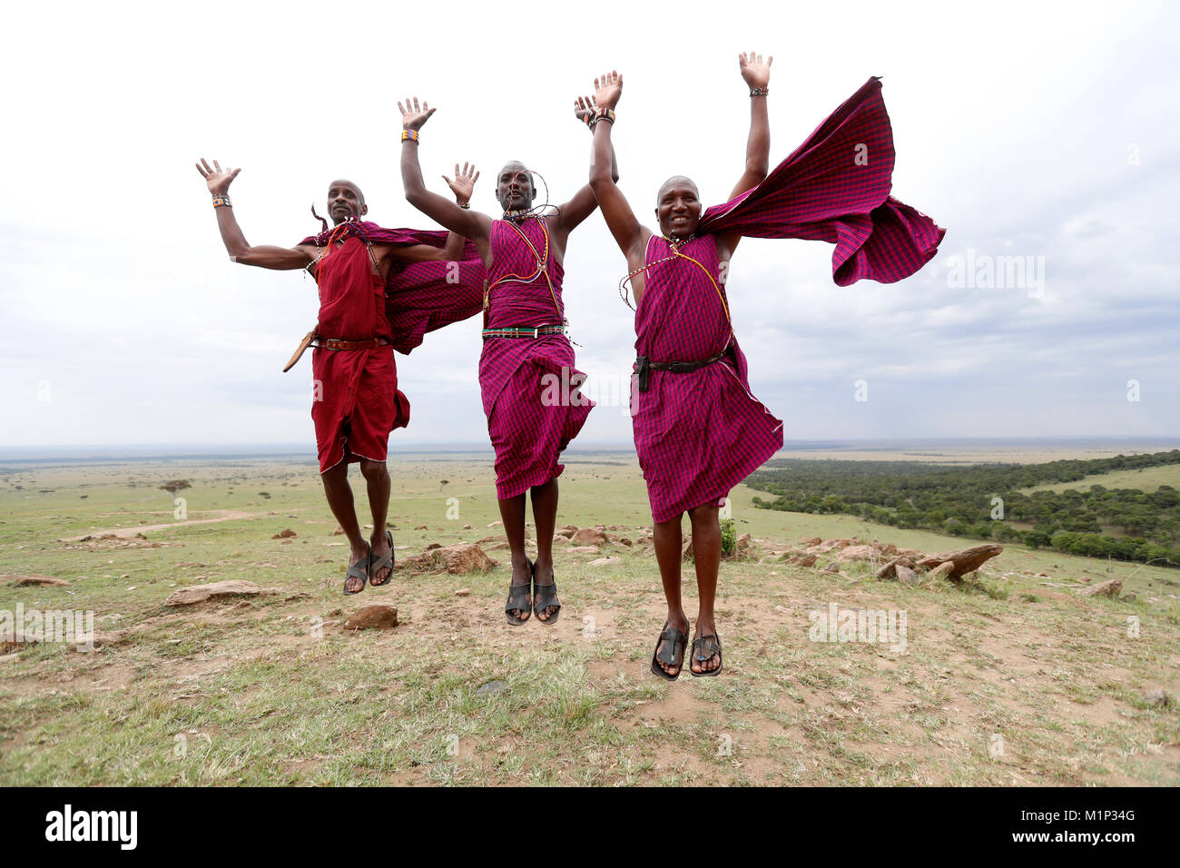 Masai warriors doing the traditional jump dance, Masai Mara Game ...