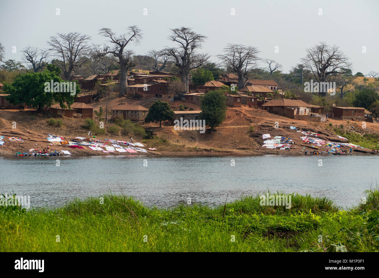 The River Cuanza flowing through the town of Cuanza, Cunza Norte ...