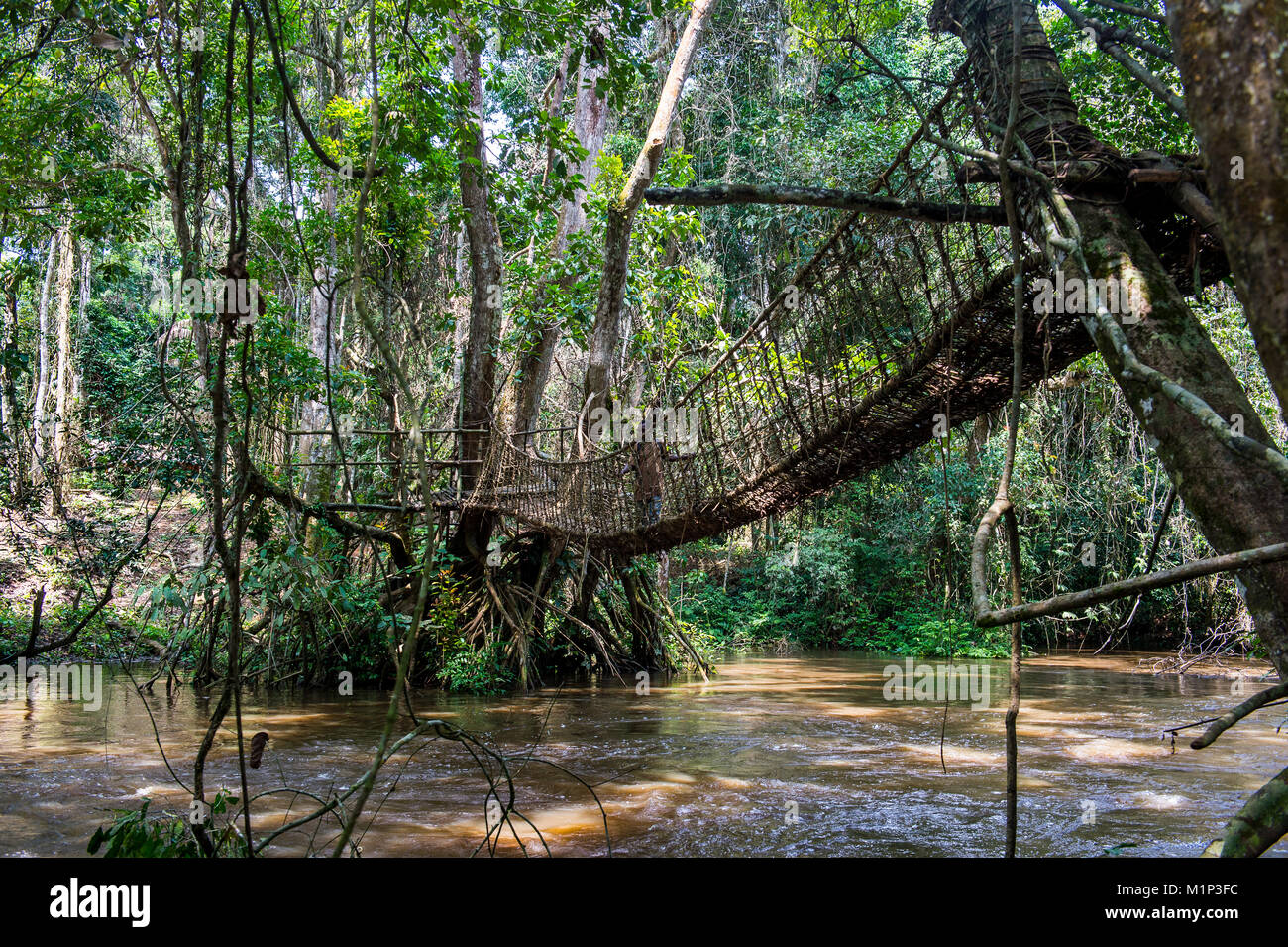 Sangha Park High Resolution Stock Photography and Images - Alamy
