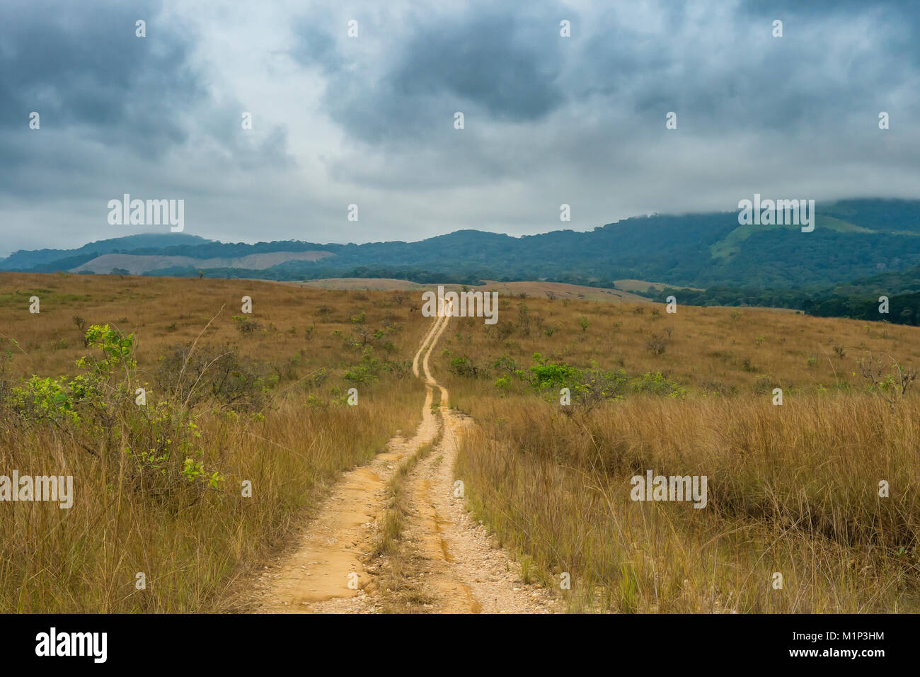 Gabon lope hi-res stock photography and images - Alamy