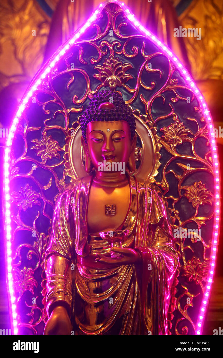 Neon zen hi-res stock photography and images - Alamy