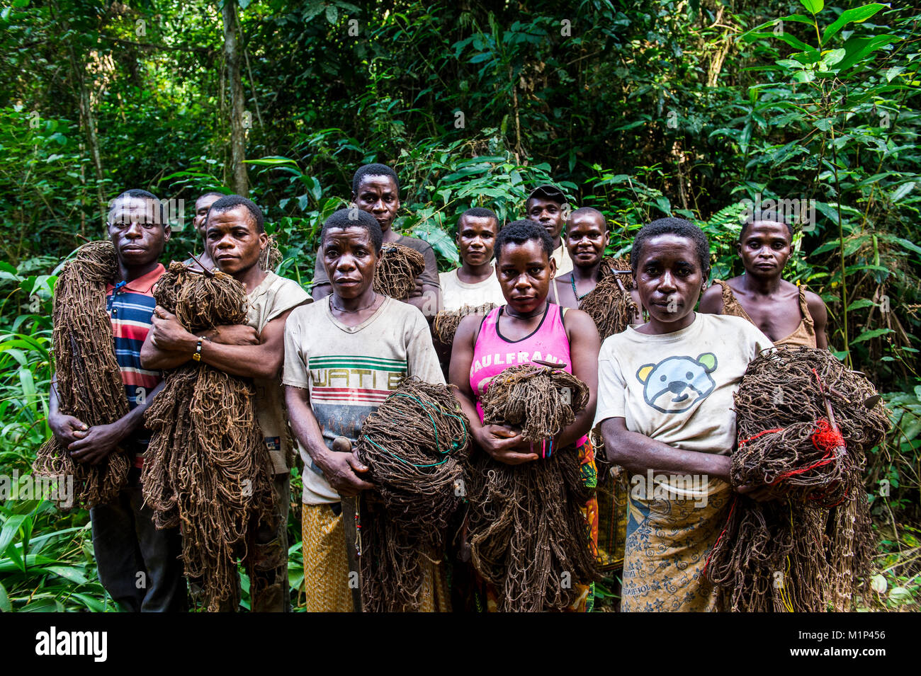 Dzanga sangha special reserve hi-res stock photography and images - Alamy