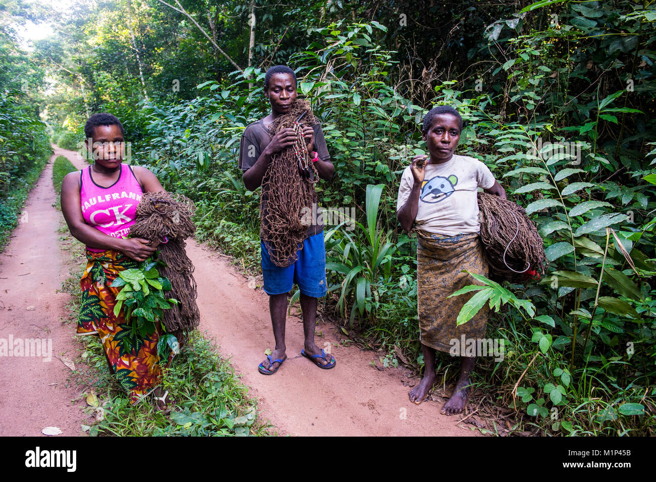 Baka pygmies on their way to go net-hunting, in the Dzanga-Sangha ...