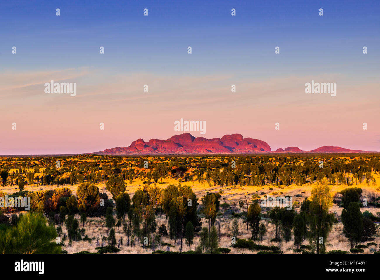 The Olgas (Kata Tjuta) at sunrise, Uluru-Kata Tjuta National Park ...