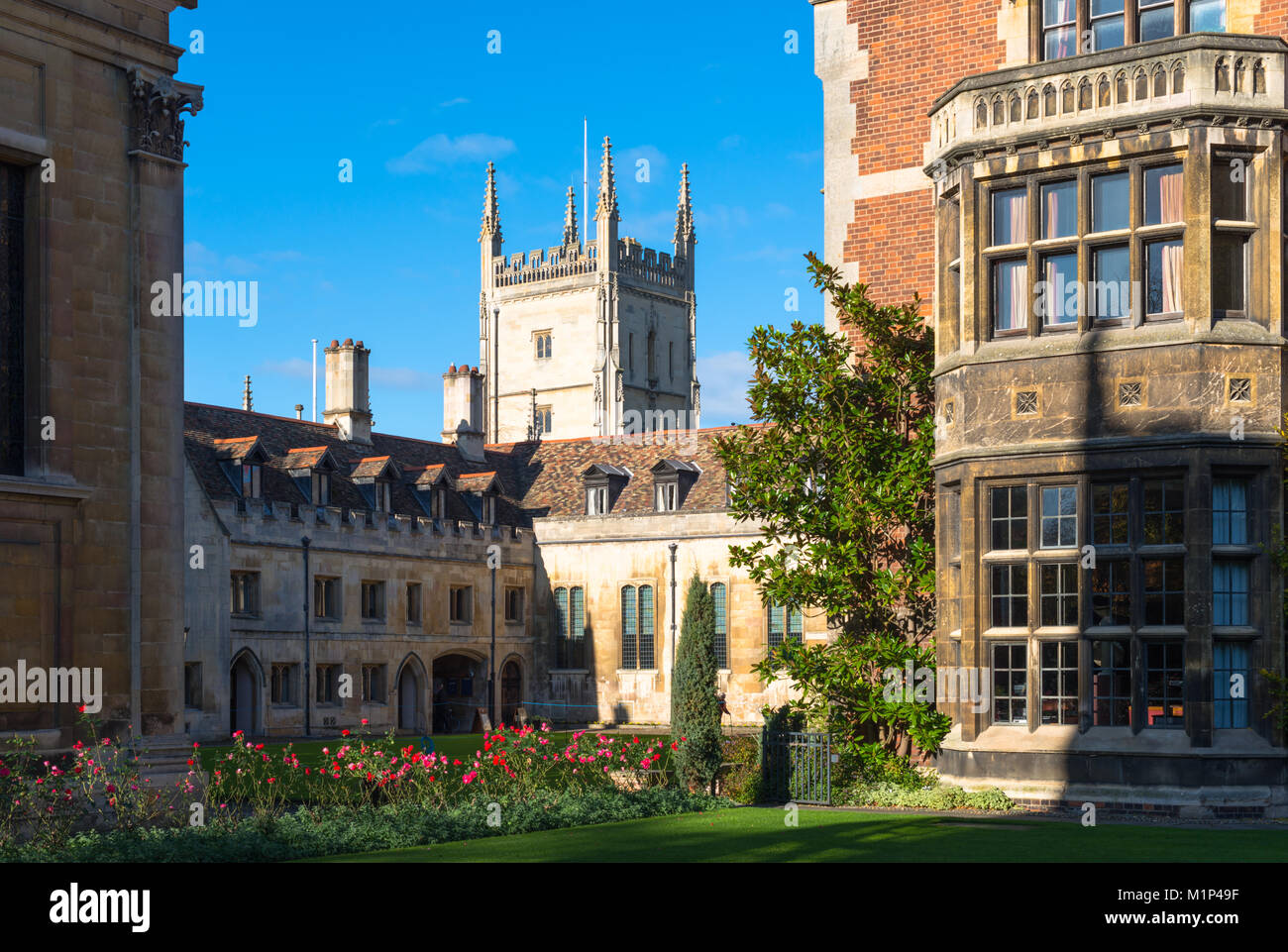 Pitt building cambridge hi-res stock photography and images - Alamy