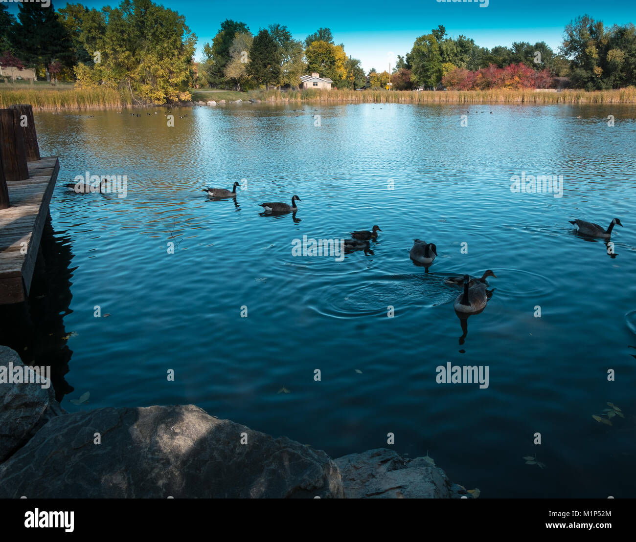Colorado pond view hi-res stock photography and images - Alamy