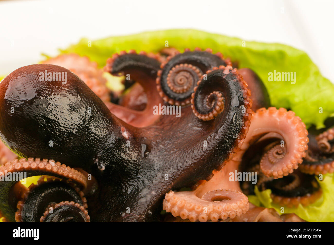 Boiled baby octopuses over salad leaves Stock Photo - Alamy