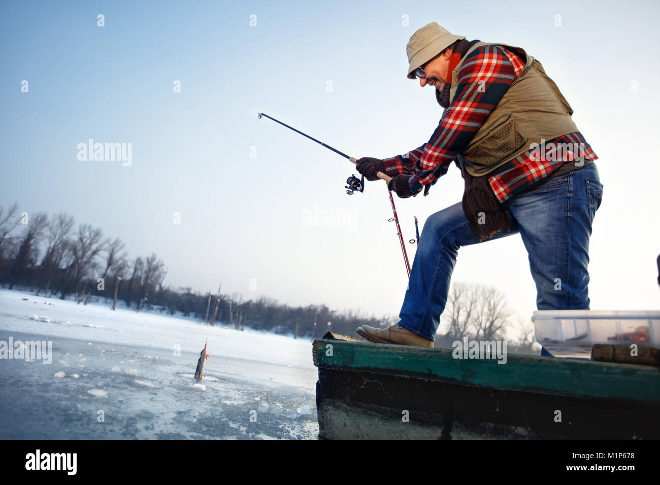 Mature fisherman draws hooked fish from frozen water Stock Photo - Alamy