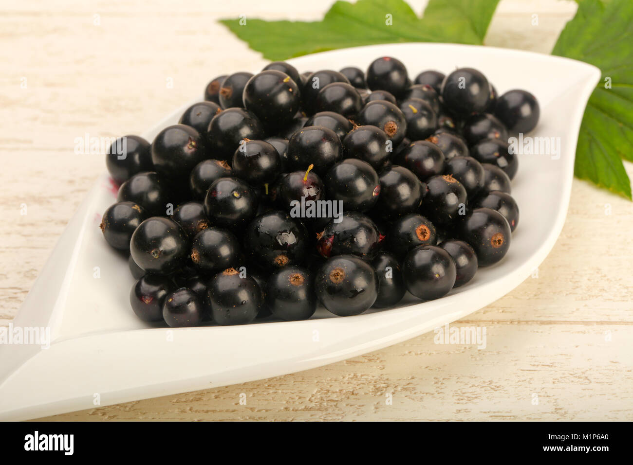 Ripe black currants in the bowl with leaf Stock Photo - Alamy