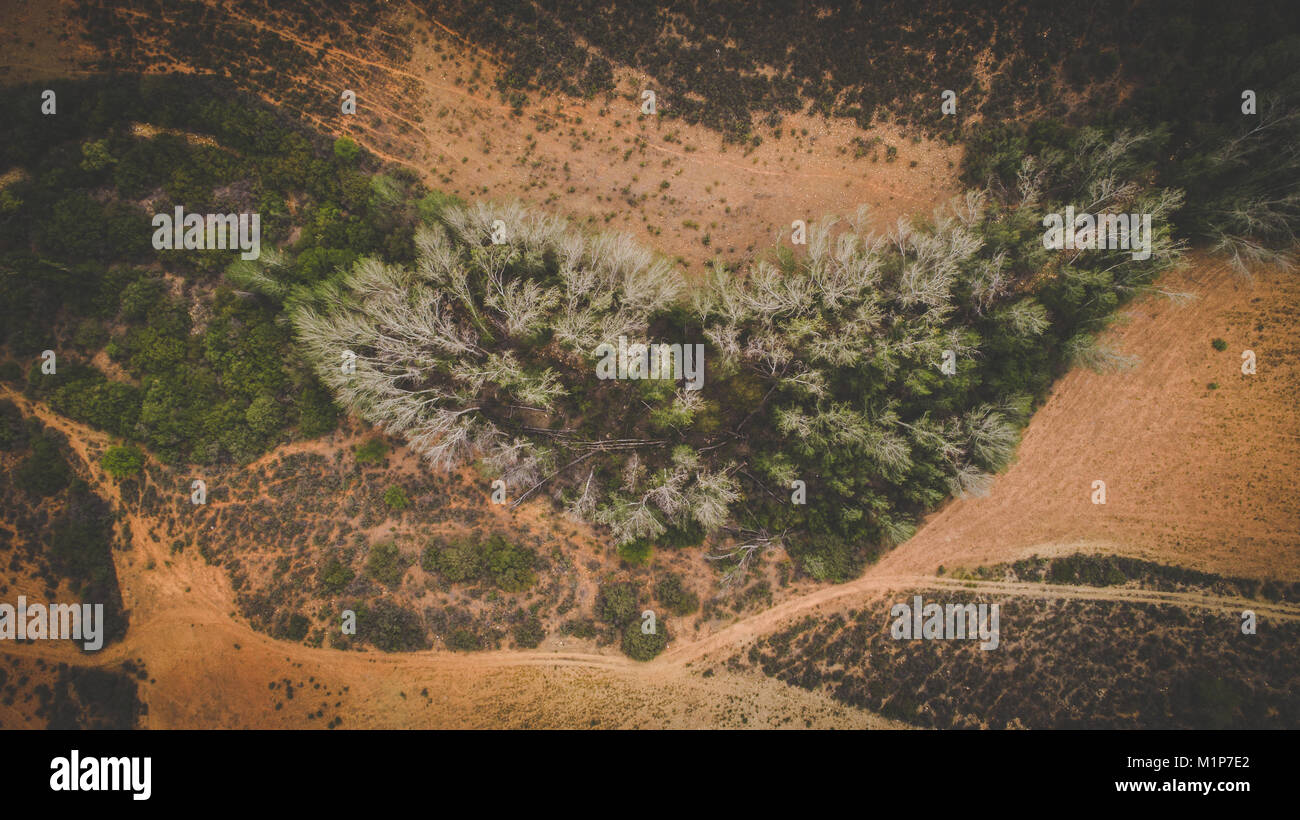 Aerial photo over a dry forest as seen from directly above Stock Photo ...