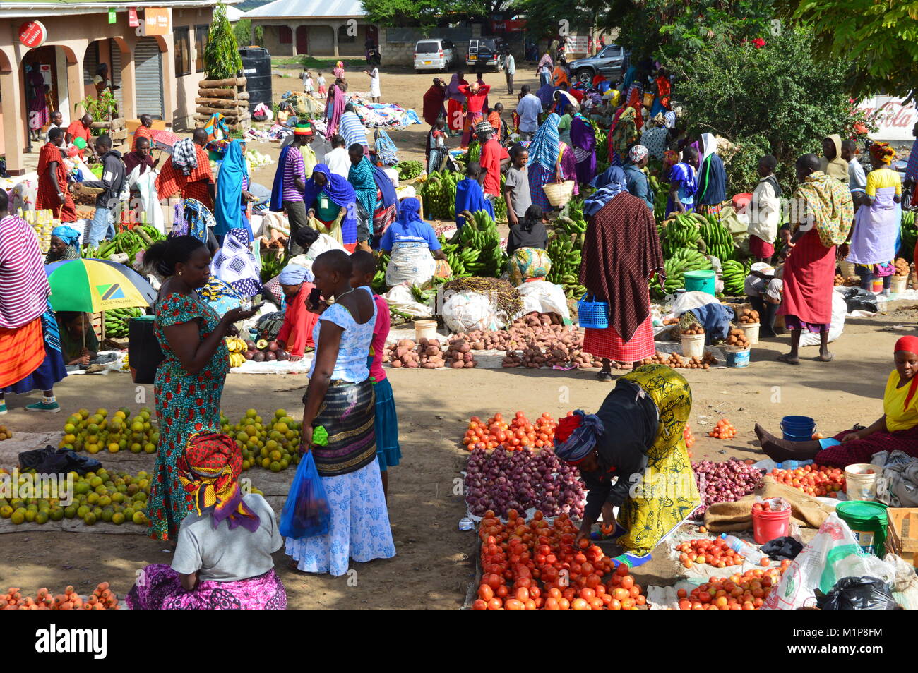 African landlife hi-res stock photography and images - Alamy