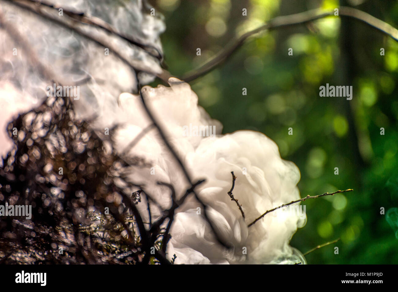 Ignite the fire. Macro shot of bonfire, white smoke, hot, glowing coal ...