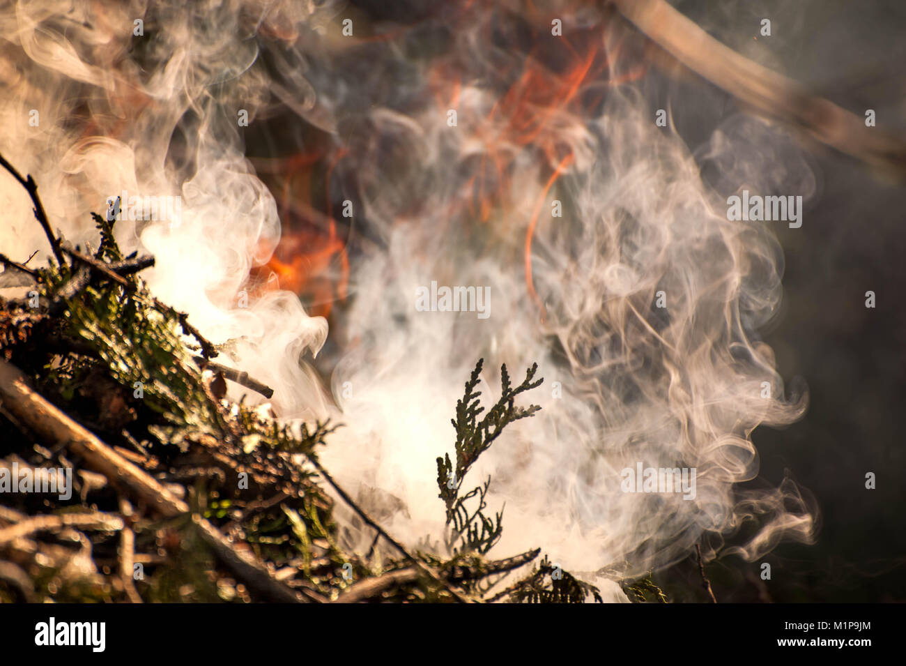 Ignite the fire. Macro shot of bonfire, white smoke, hot, glowing coal ...