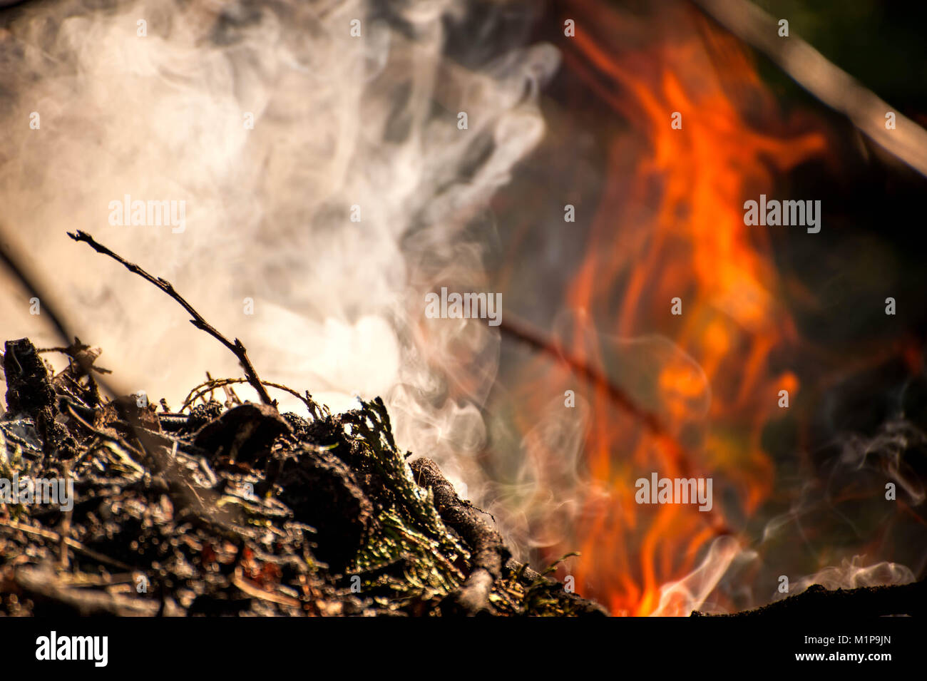 Ignite the fire. Macro shot of bonfire, white smoke, hot, glowing coal ...