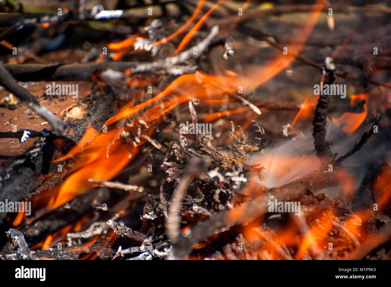 Ignite the fire. Macro shot of bonfire, white smoke, hot, glowing coal ...