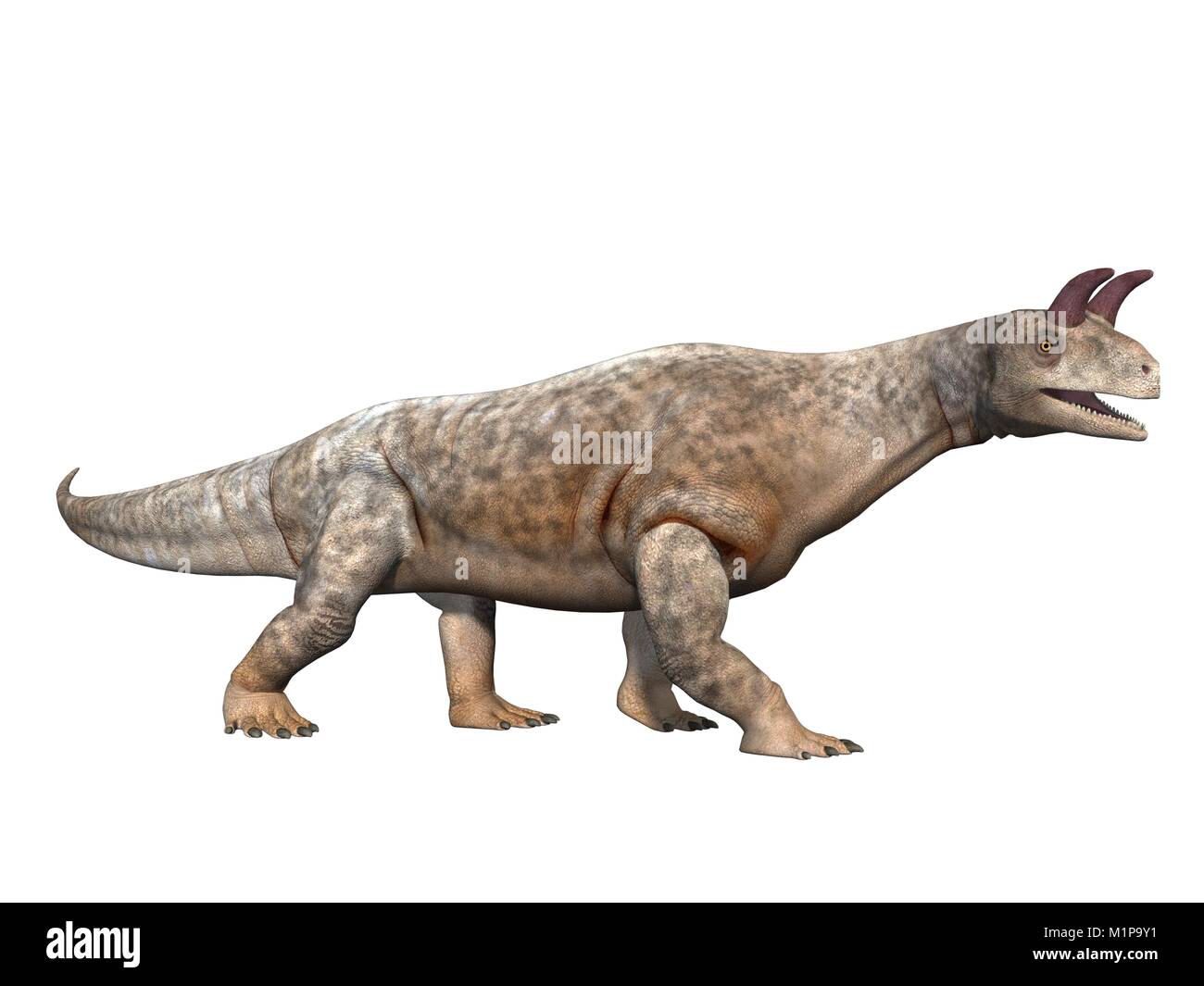 Archosauromorph hi-res stock photography and images - Alamy