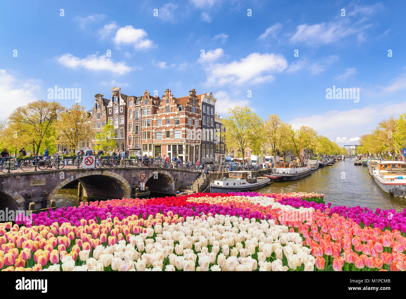 Amsterdam garden hi-res stock photography and images - Alamy