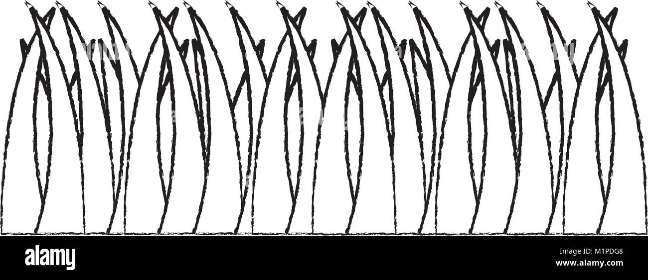 Green grass organic lawn Black and White Stock Photos & Images - Alamy