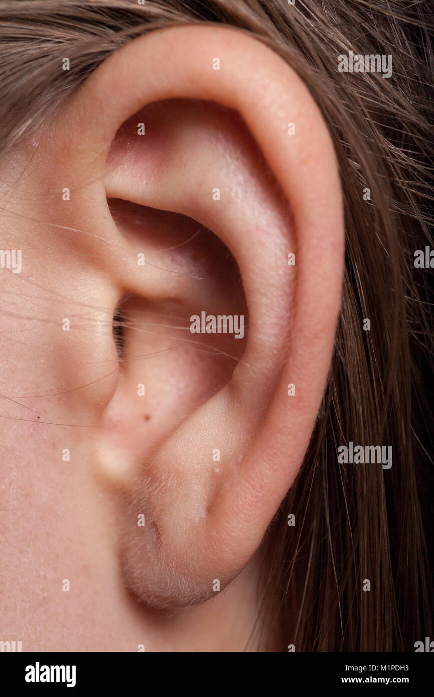 Detail of the head with female human ear and hair close up Stock Photo ...
