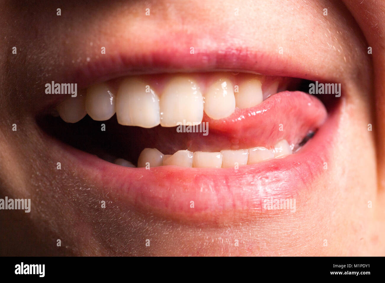 Healthy Open Mouth Closeup Teeth Stock Photos & Healthy Open Mouth ...