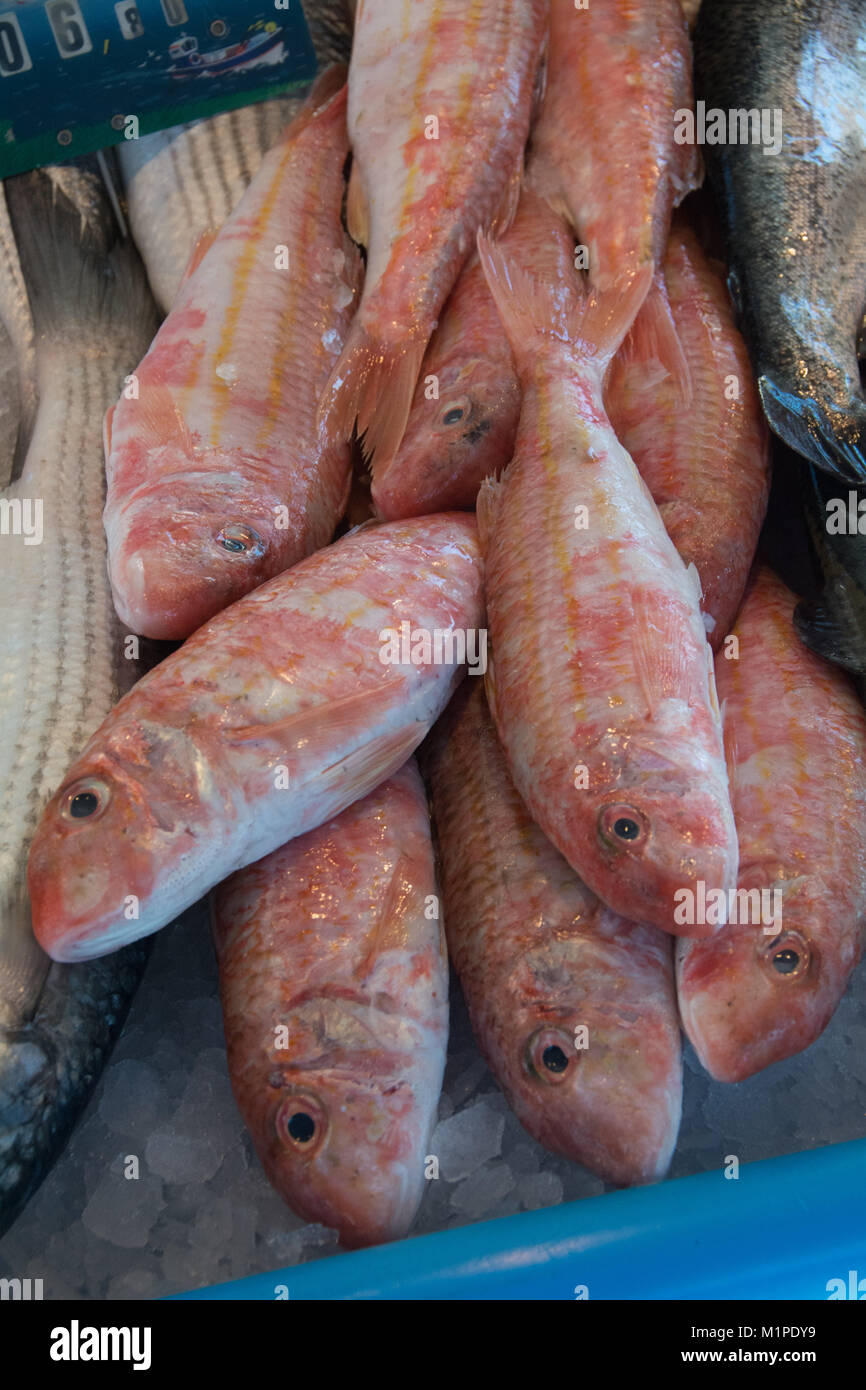 French fish market hi-res stock photography and images - Alamy