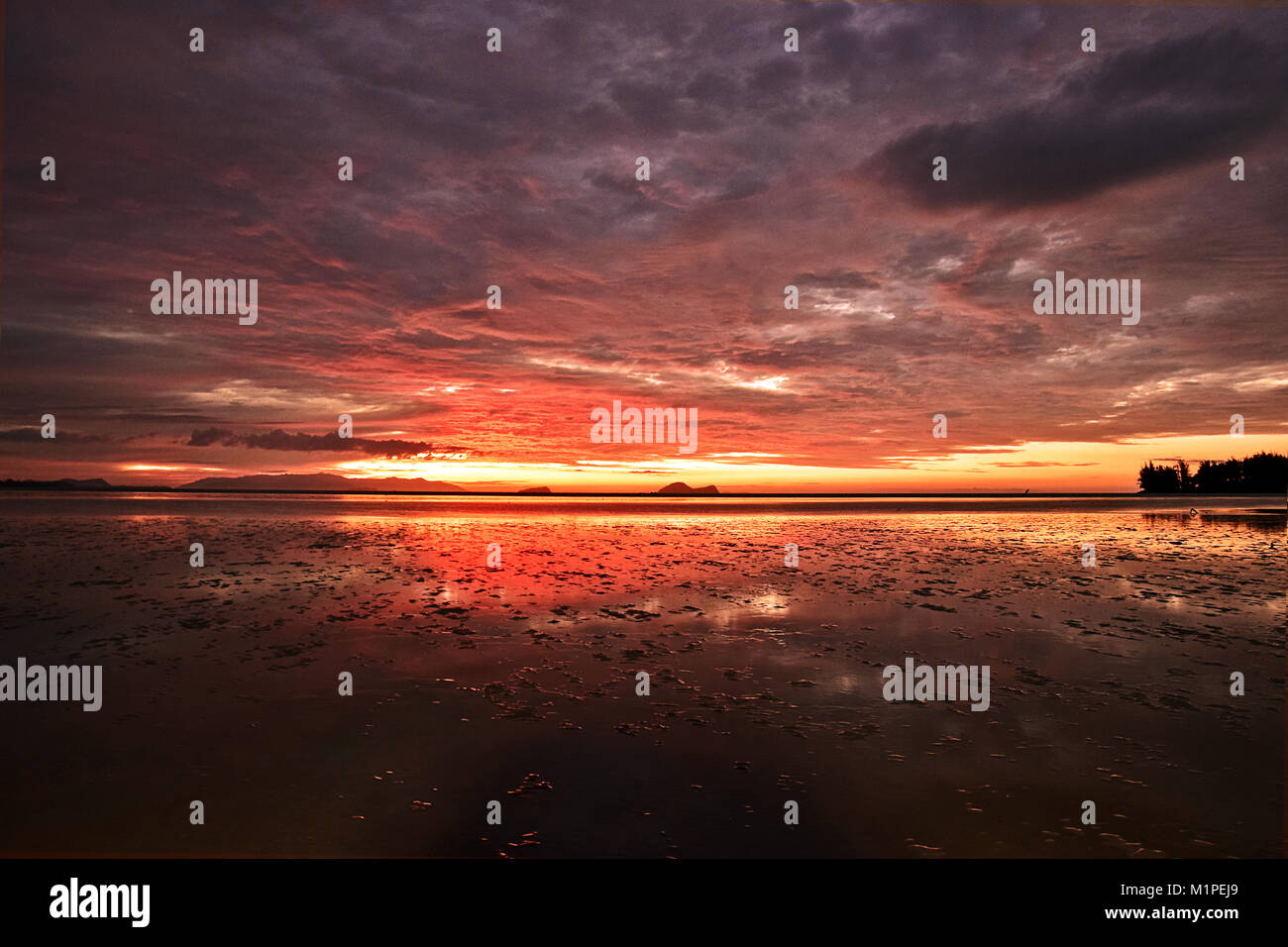 afternoon activities during sunset Stock Photo - Alamy