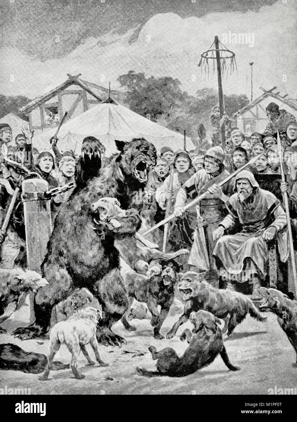 Bear baiting High Resolution Stock Photography and Images - Alamy