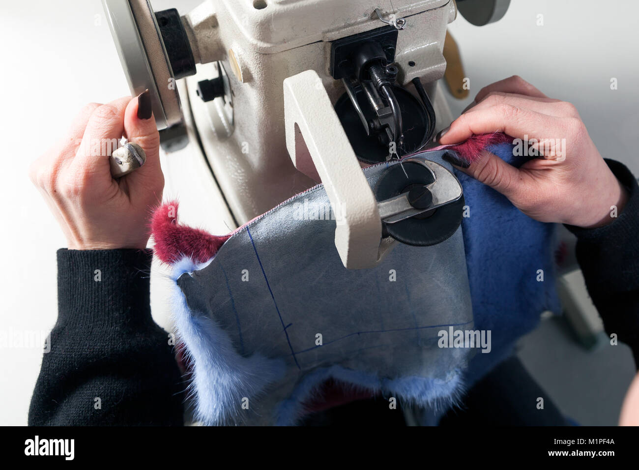 Woman scinner, furrier works on sewing machine with natural fur Stock ...