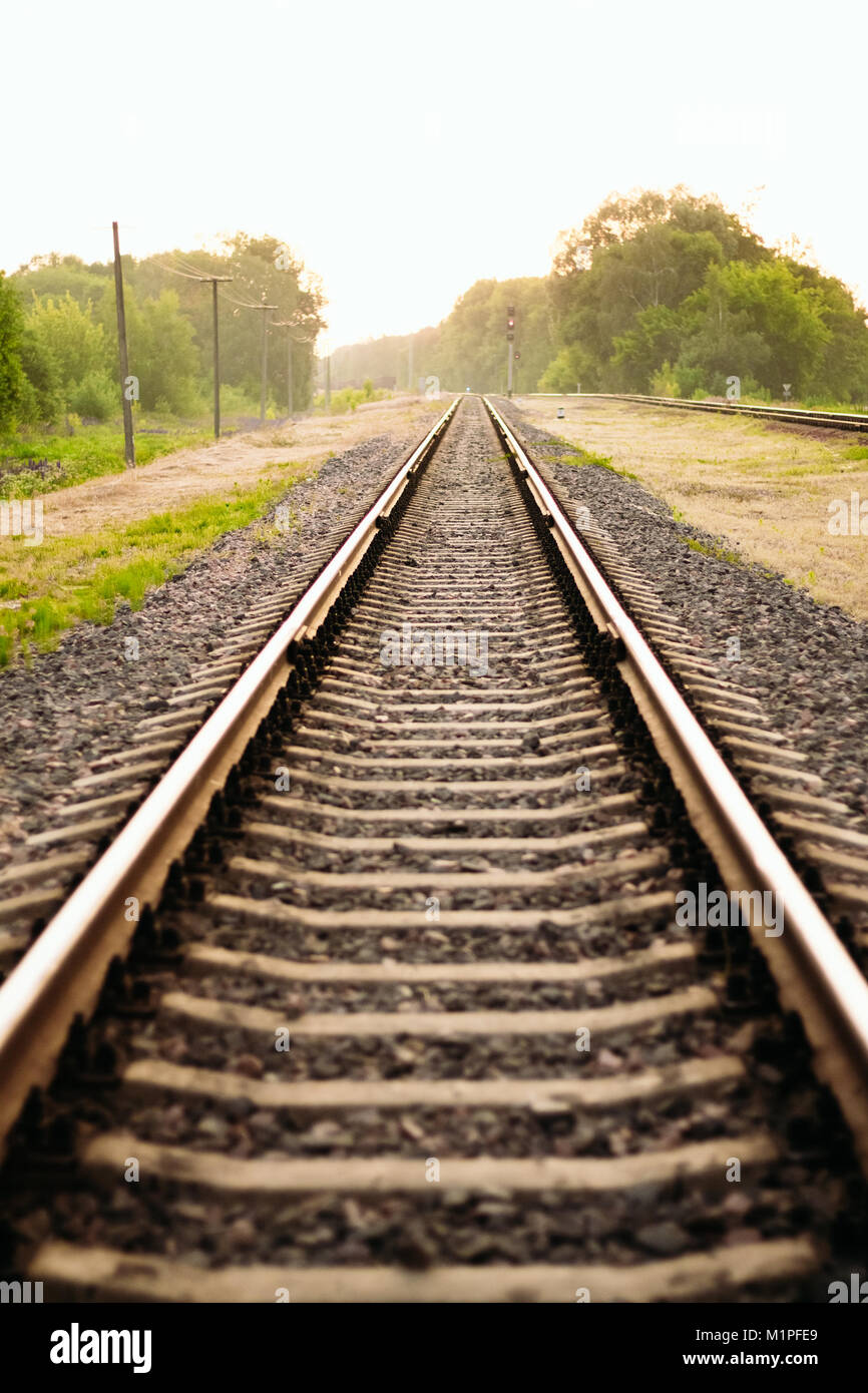 Straight railway tracks of land stretching to the woods Stock Photo - Alamy