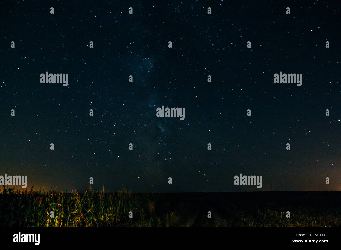 The stars in the night sky over the field Stock Photo - Alamy
