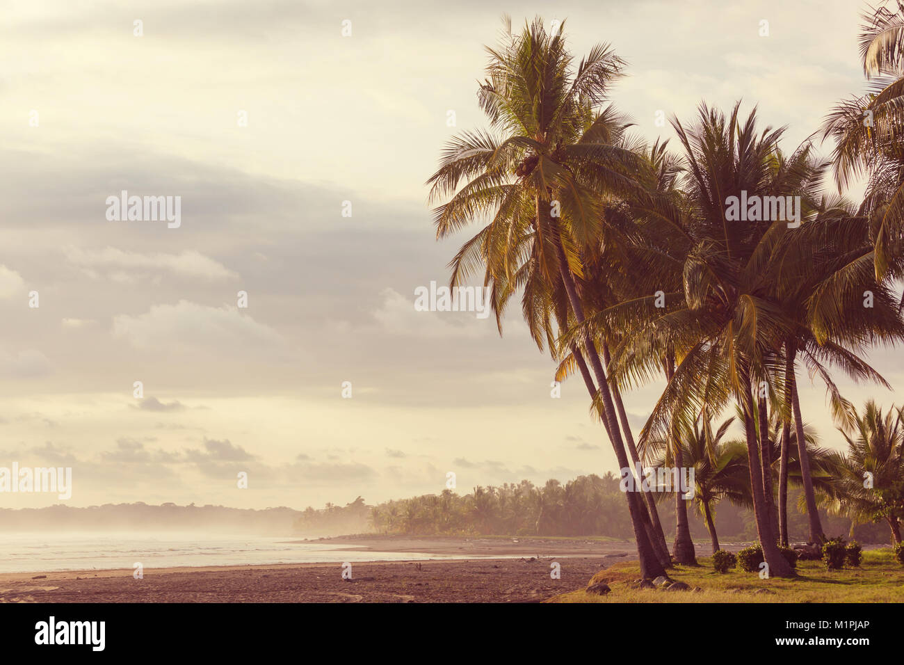 Beautiful tropical Pacific Ocean coast in Costa Rica Stock Photo - Alamy
