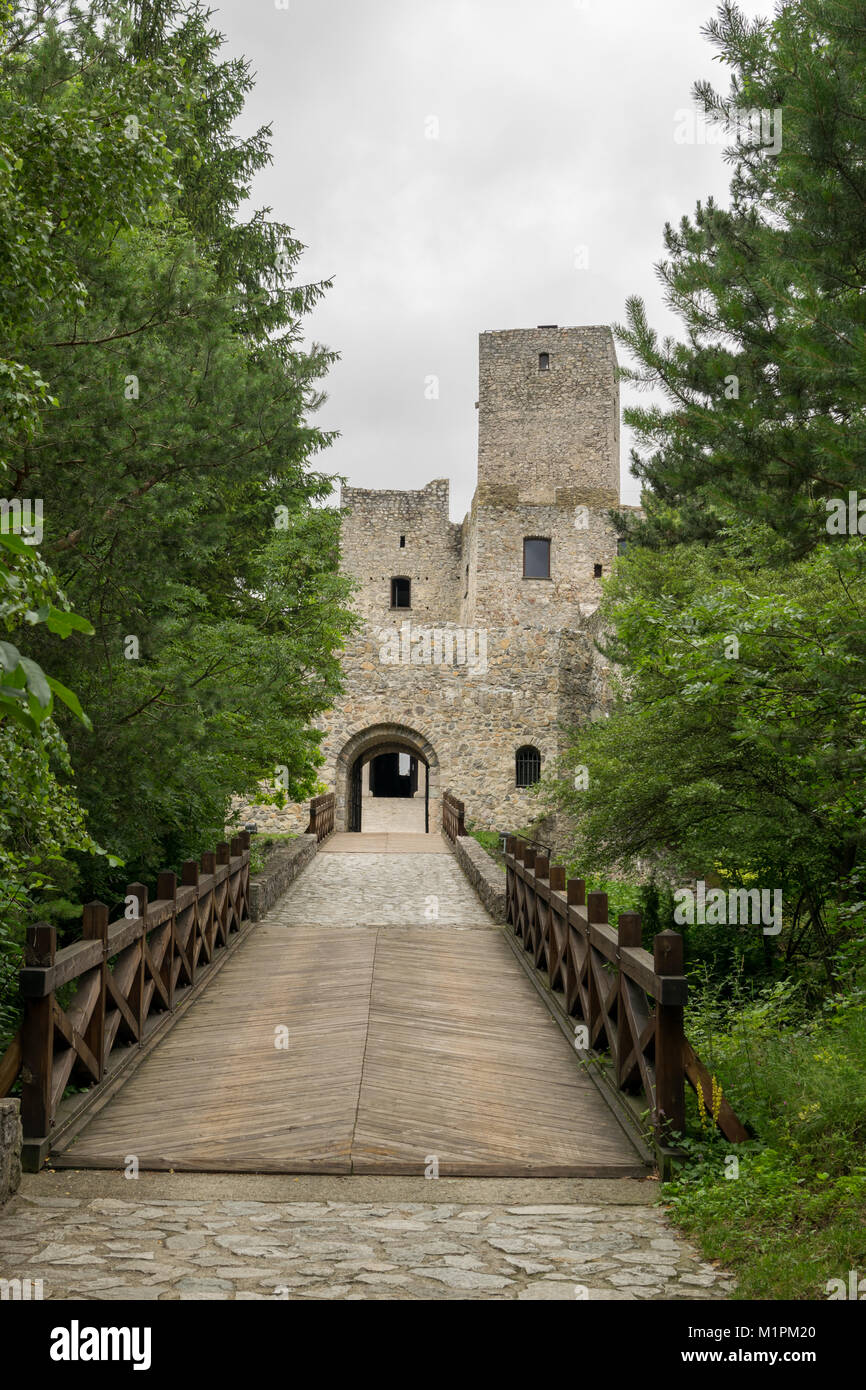Castle Strecno with bridge leading to it Stock Photo - Alamy