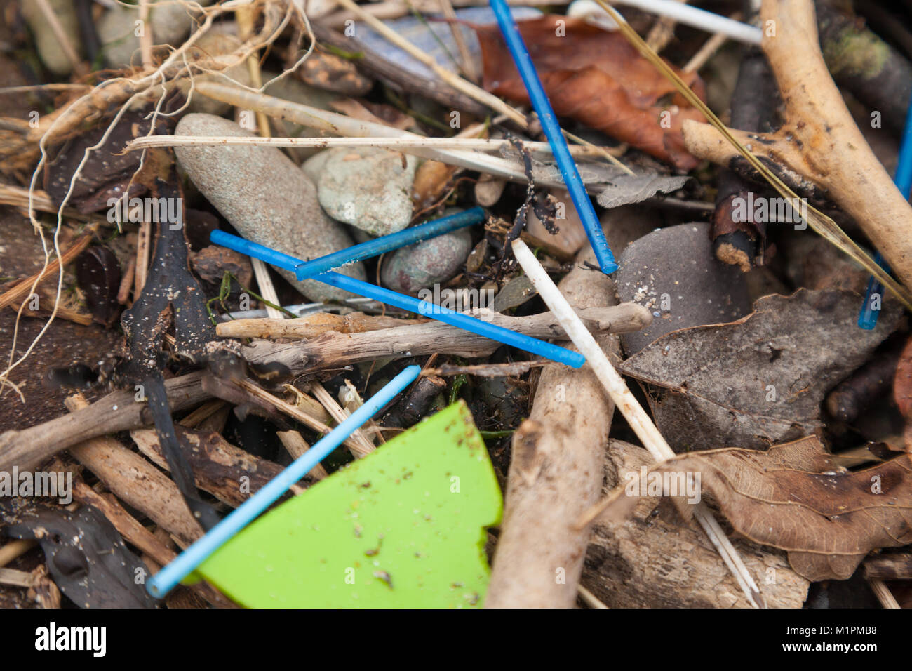Cotton buds beach hi-res stock photography and images - Alamy