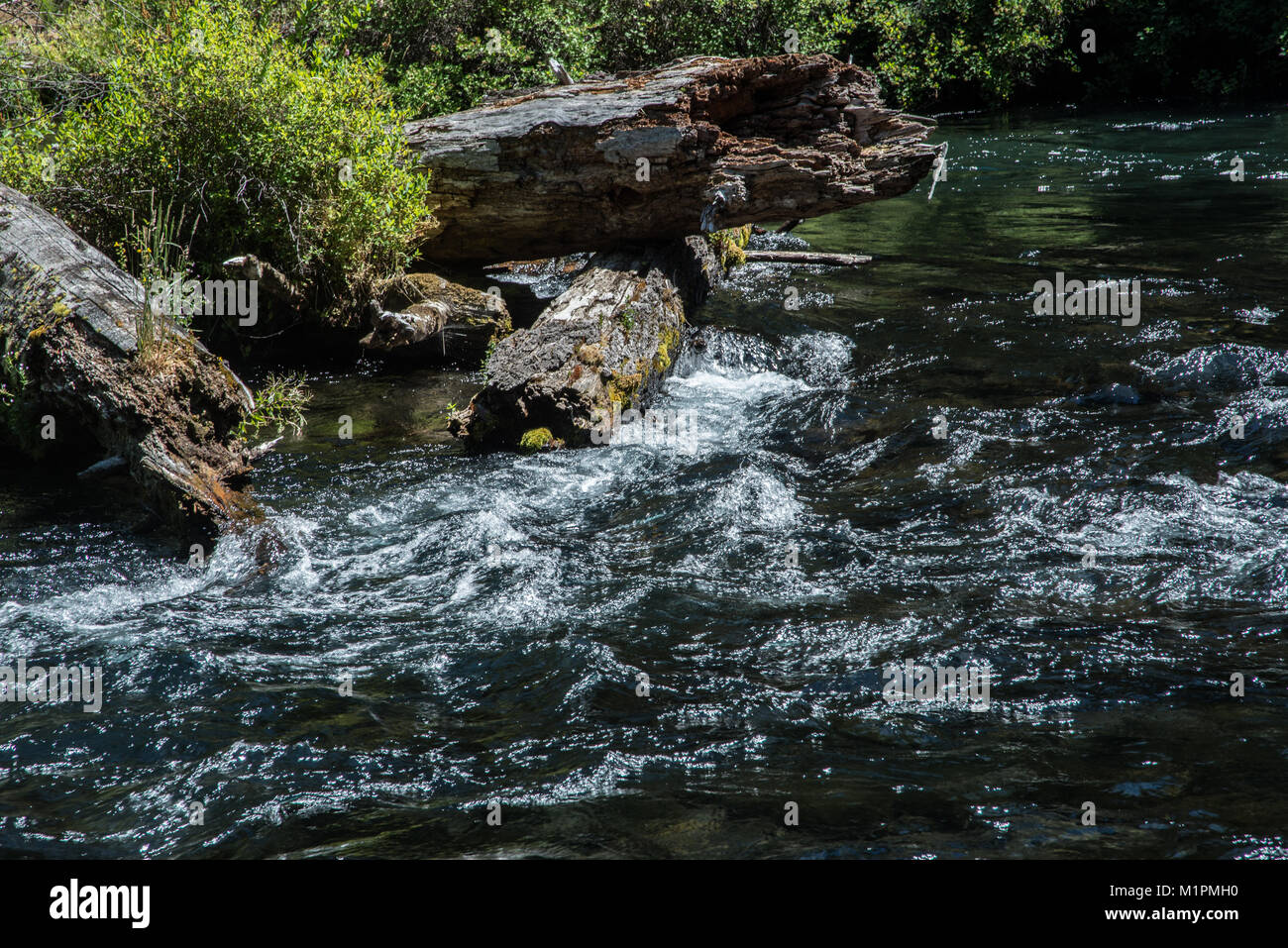 Metolius River near Wizard Falls in central Oregon Stock Photo - Alamy