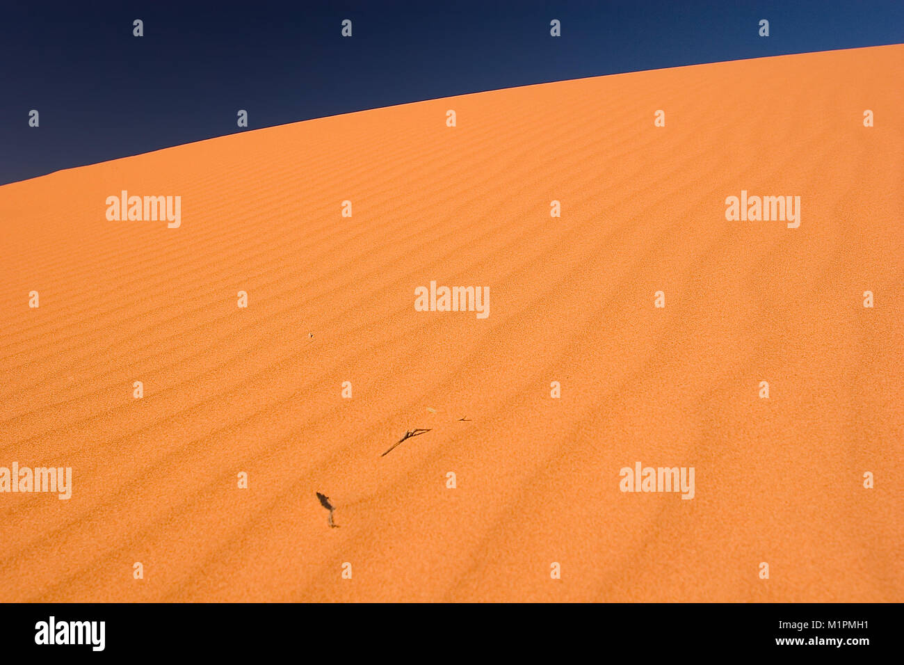 First dune hi-res stock photography and images - Alamy