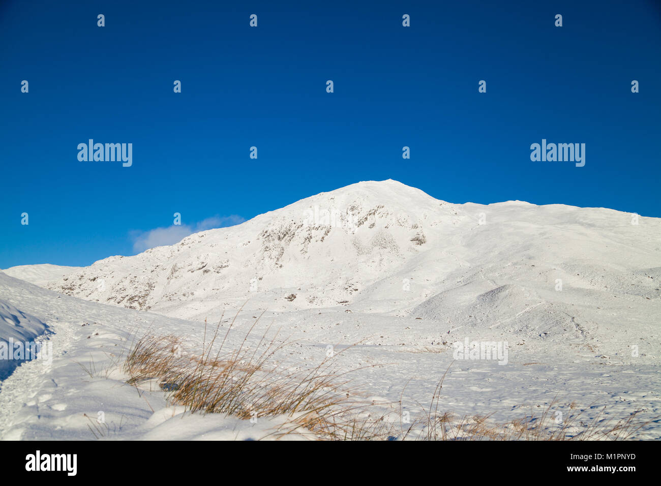 Pitlochry ben vrackie hi-res stock photography and images - Alamy