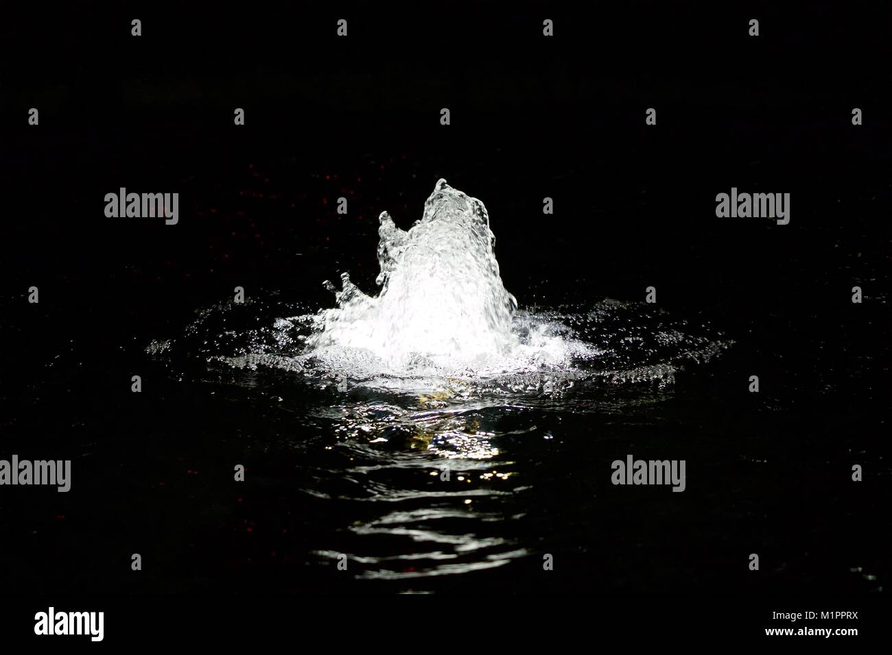 Illuminated water fountain at night with light reflecting off the water ...