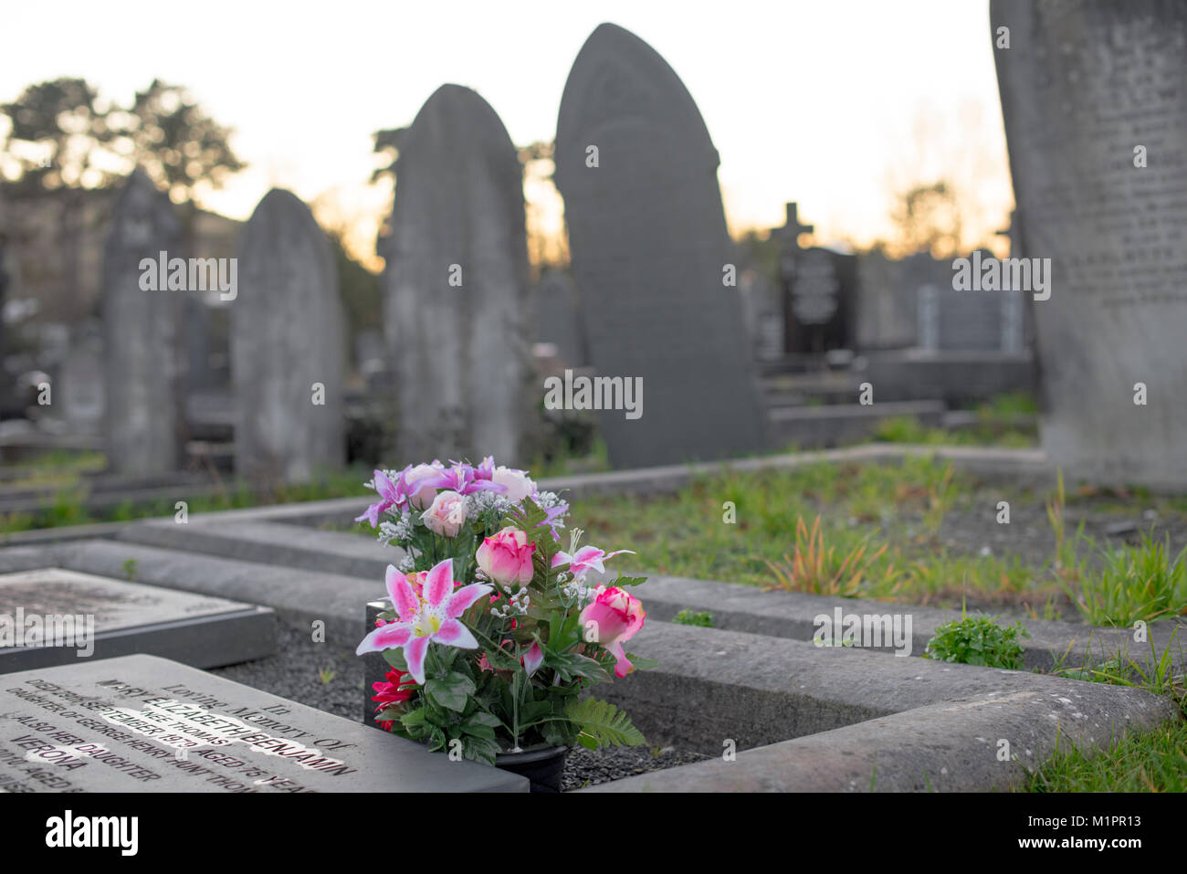 Flowers on a grave, the rest of the graveyard in the background and ...