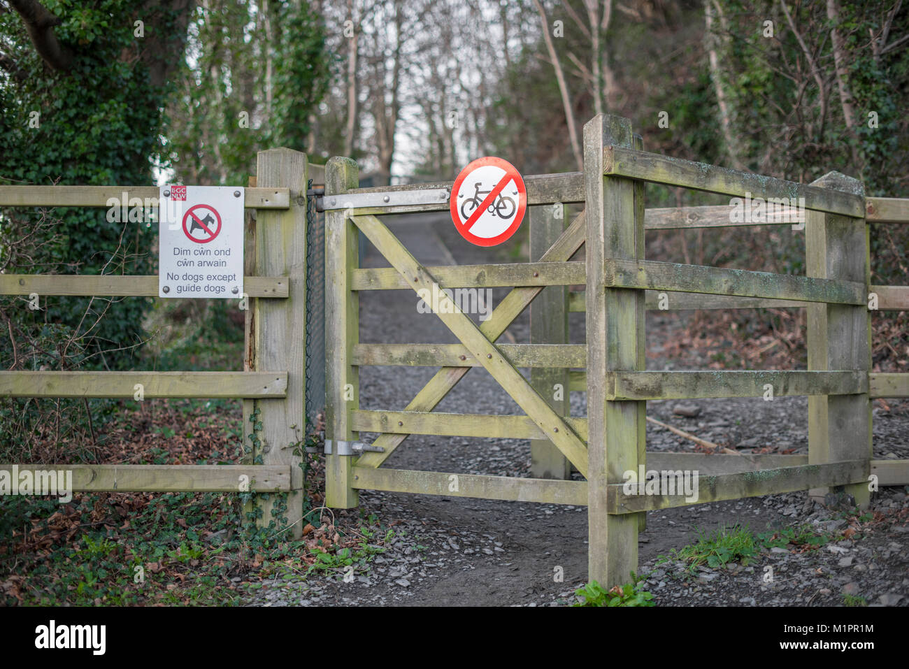 Dim cwn ond cwn arwain hi-res stock photography and images - Alamy