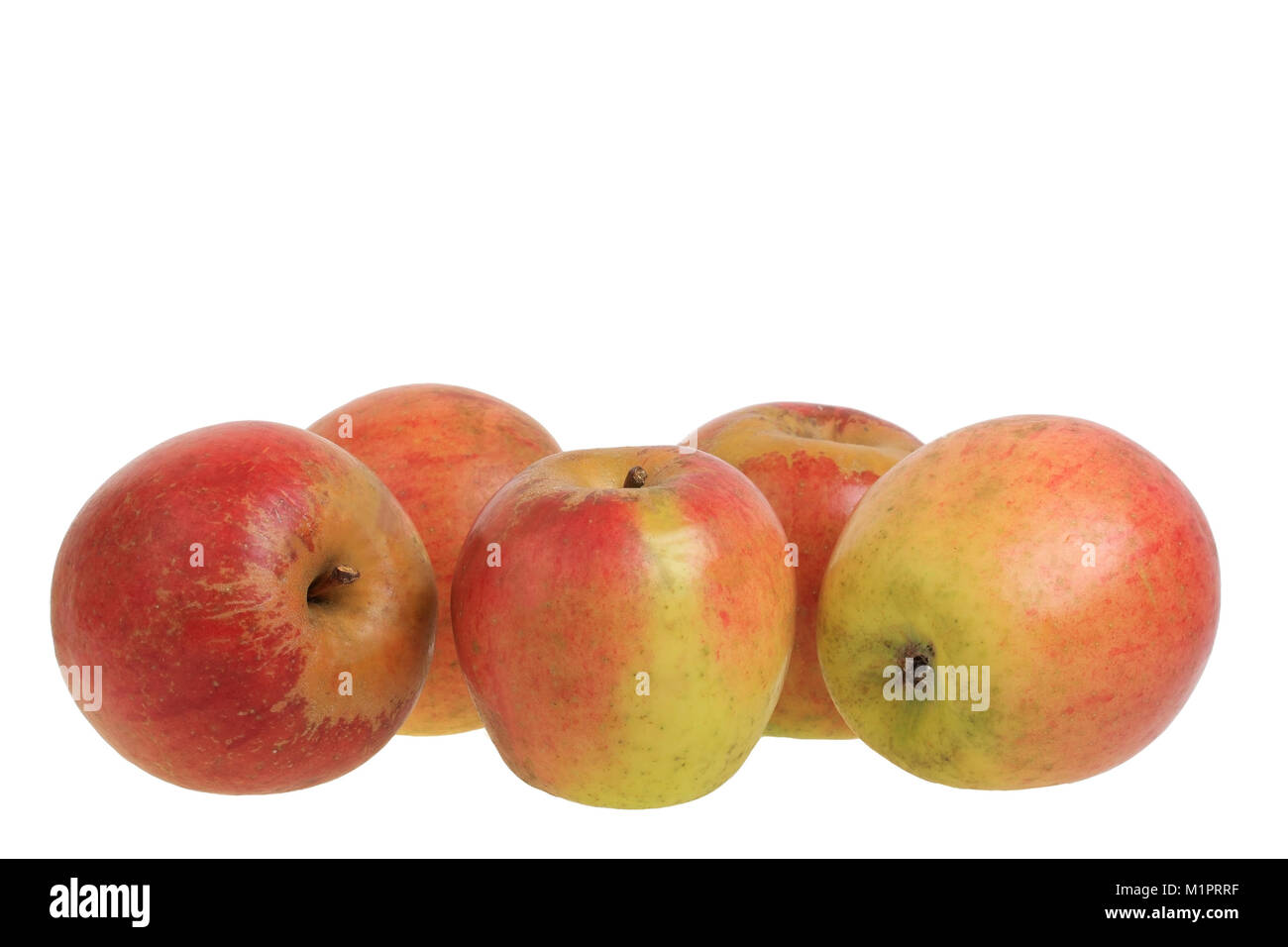 Apfelsorte High Resolution Stock Photography and Images - Alamy